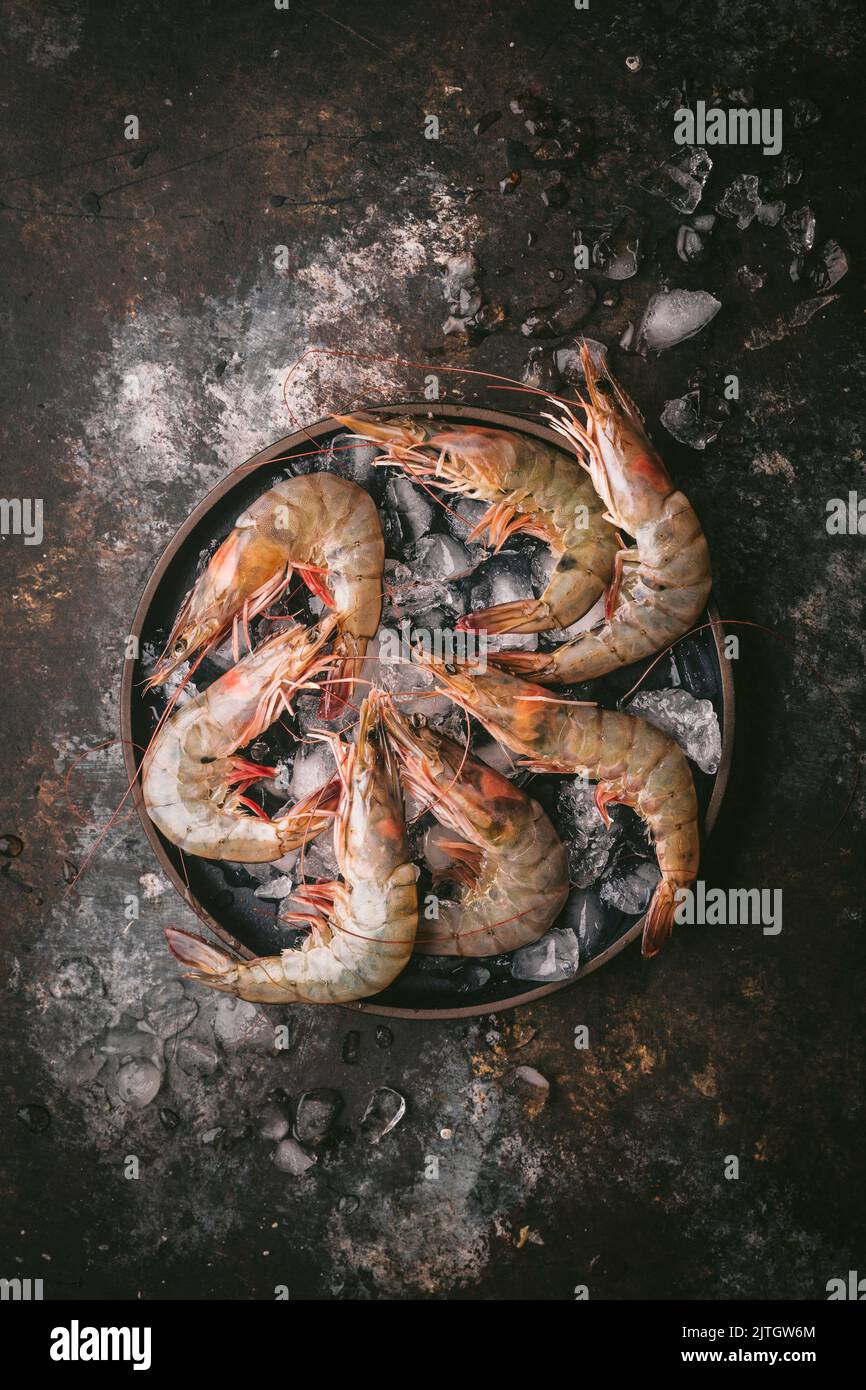 Bowl of raw head-on shrimp on ice on dark background Stock Photo - Alamy
