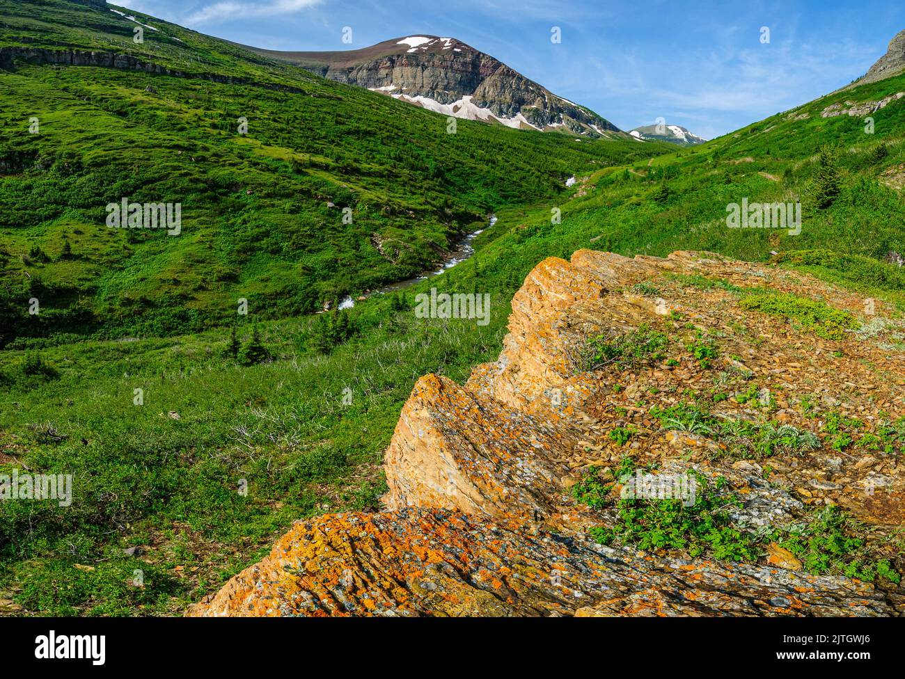 Exposed rock outcrop in the high alpine valley of South Drywood Creek ...