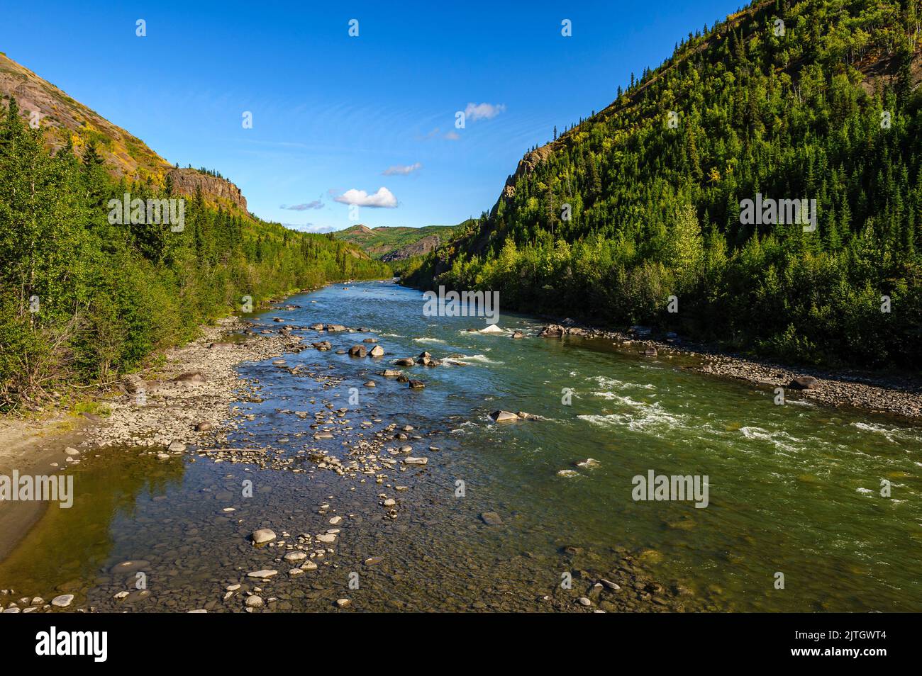 Tuya british columbia hi-res stock photography and images - Alamy