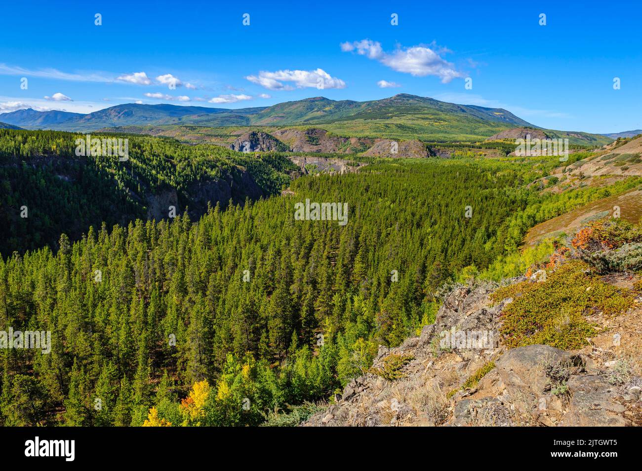 Overlooking the canyon of the Stikine River near Day's Ranch on the ...