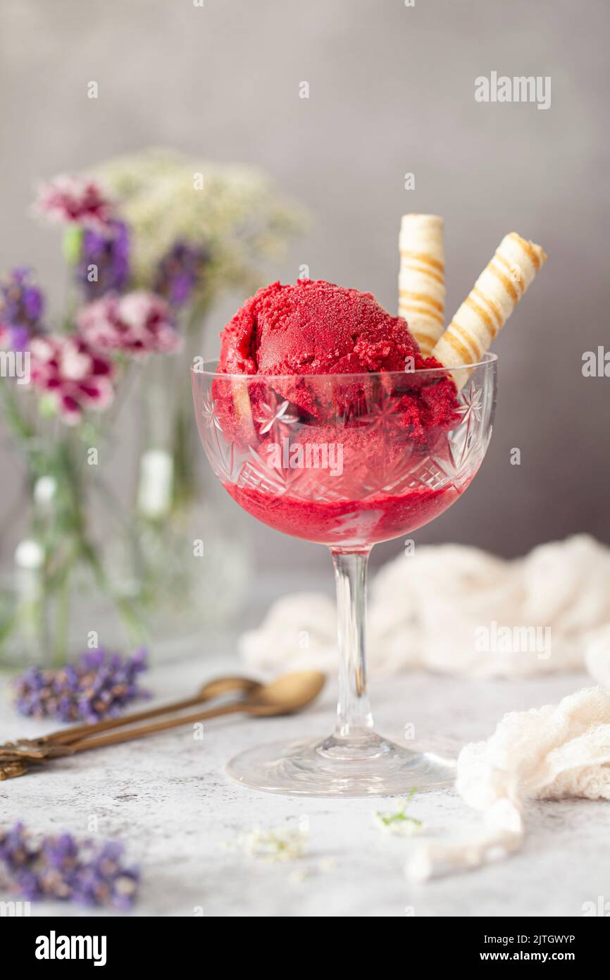 Blackcurrant sorbet in a vintage cocktail glass served with two wafer ...
