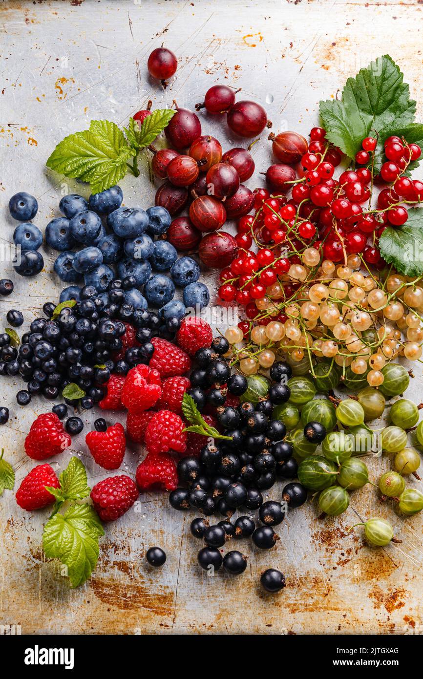 Fresh berries Mix with leaves on textured metal background Stock Photo ...