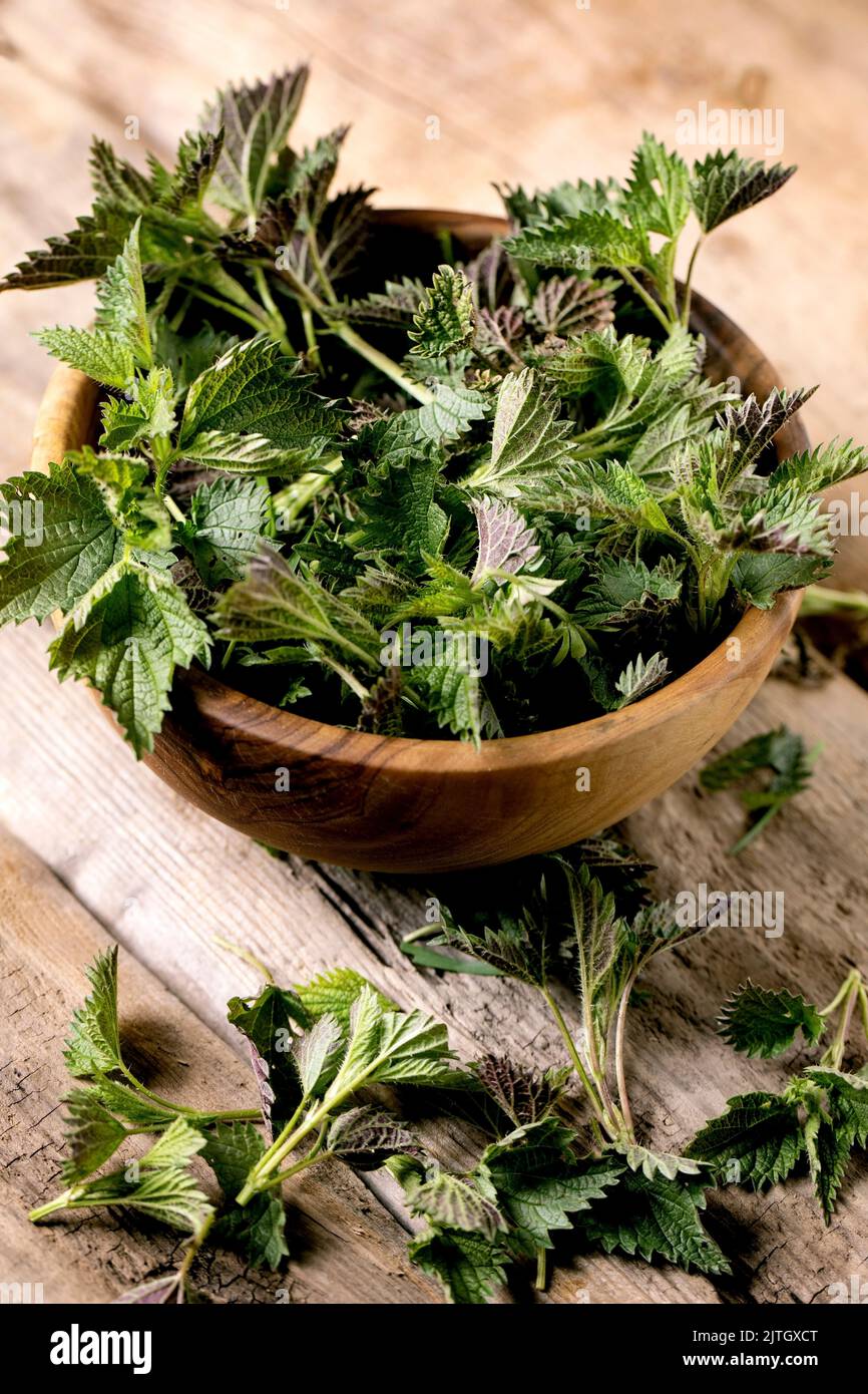 Heap of fresh young organic nettle leaves in wooden bowl on old wood ...