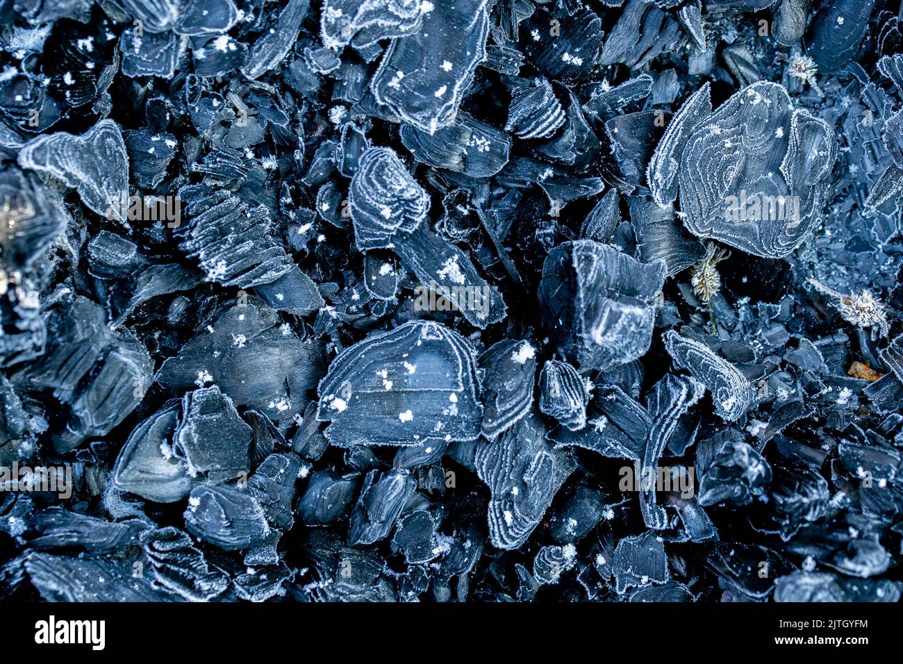 Coal in frost background.Heating with coal.Frozen coal texture.Heating ...