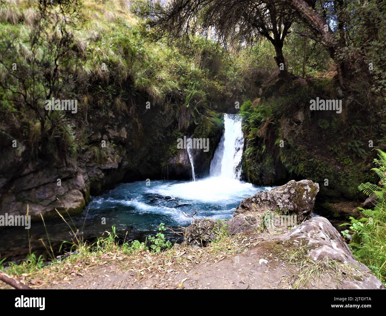 A beautiful scene of small waterfall flowing on a river under trees and ...