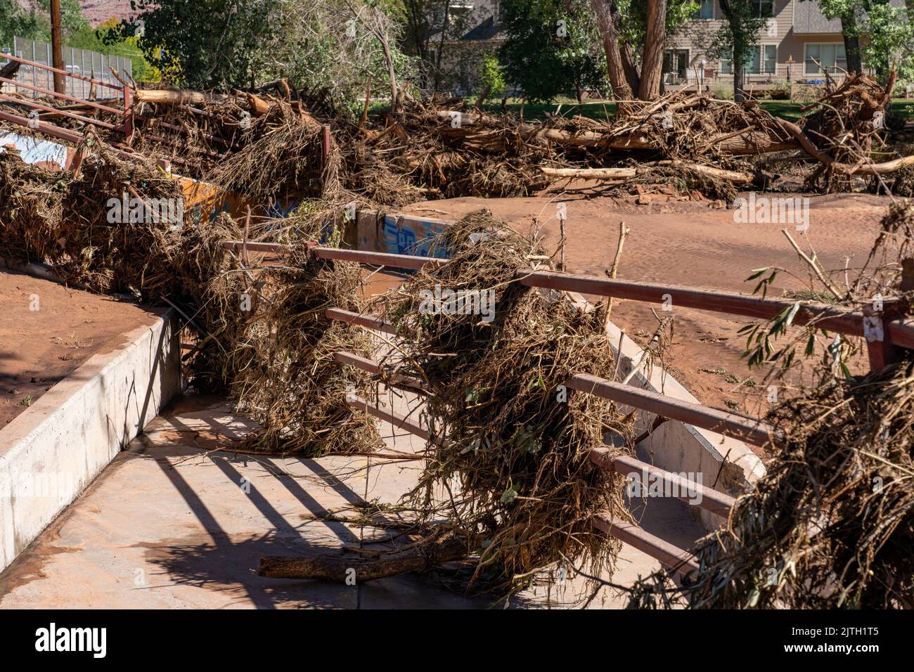 Flooding aftermath, Moab, Utah, USA Stock Photo - Alamy