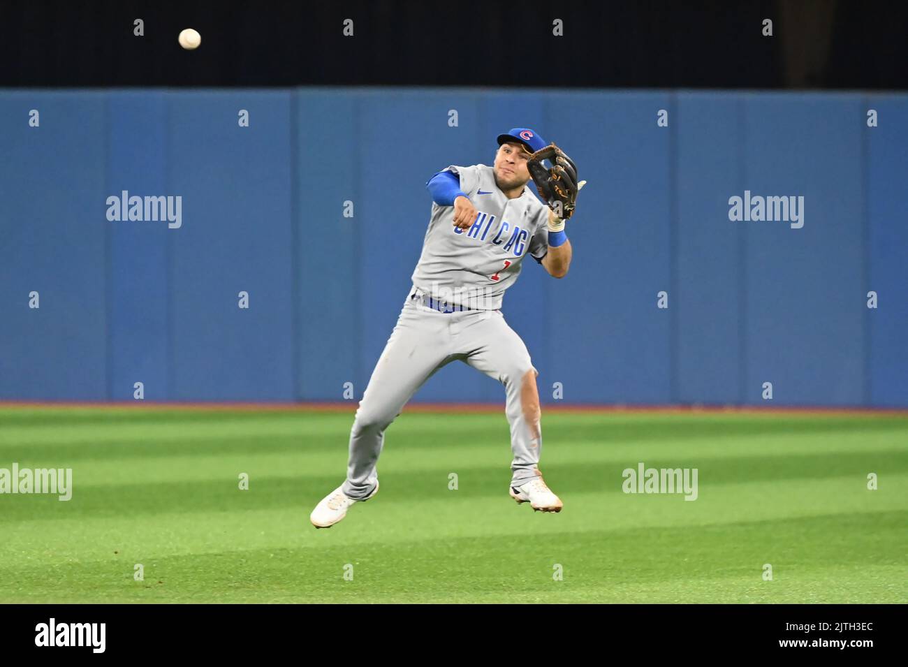 Toronto, Canada, August 30, 2022. Chicago Cubs' Nick Madrigal throws to ...