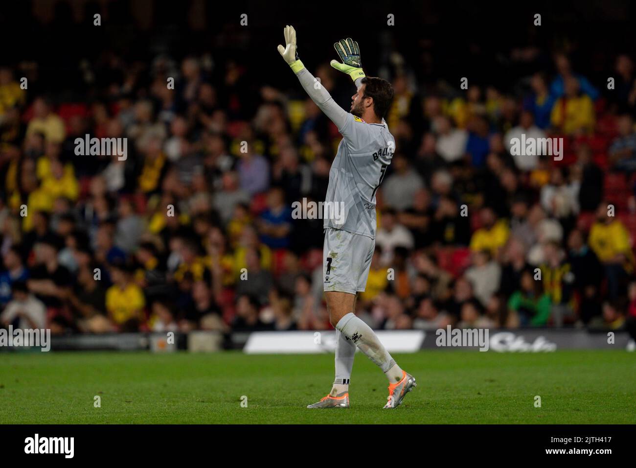 Daniel Bachmann #1 of Watford Stock Photo - Alamy