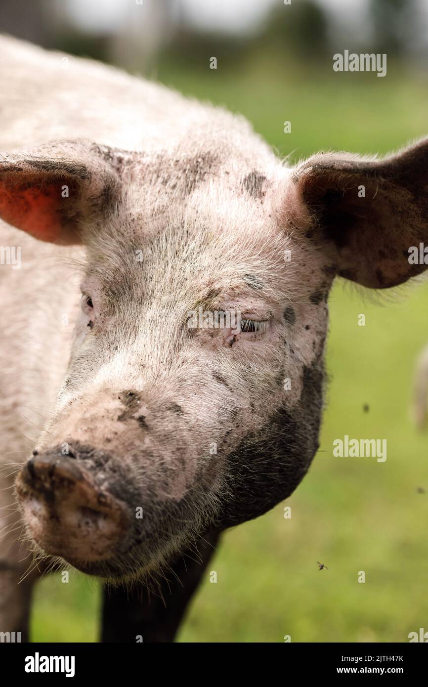 Happy national farmers day hi-res stock photography and images - Alamy