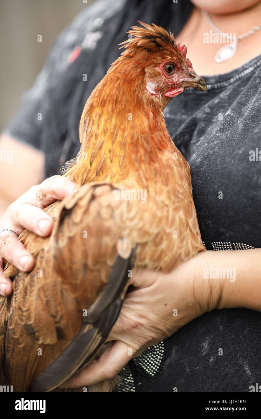 Happy national farmers day hi-res stock photography and images - Alamy