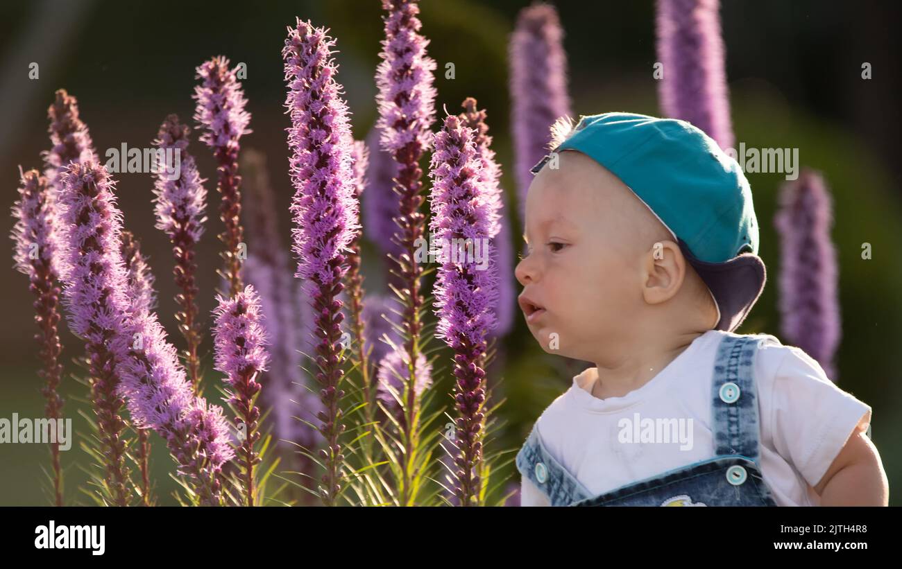 A small brightly dressed boy is playing with large purple flowers in ...
