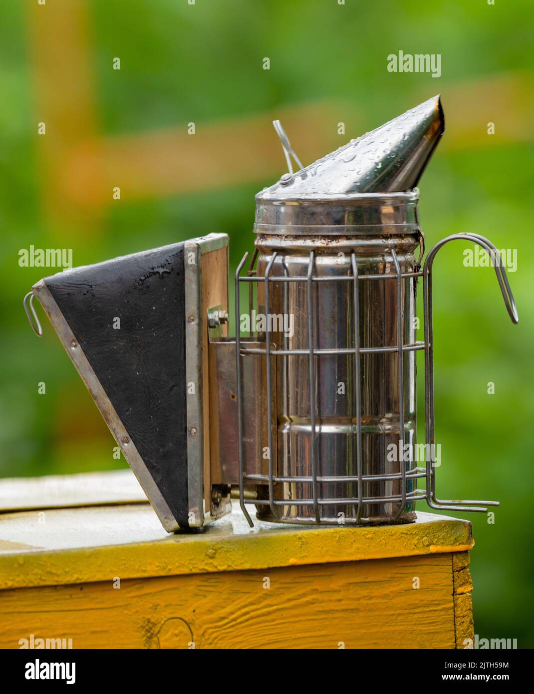 Hand black male beekeeper hi-res stock photography and images - Alamy