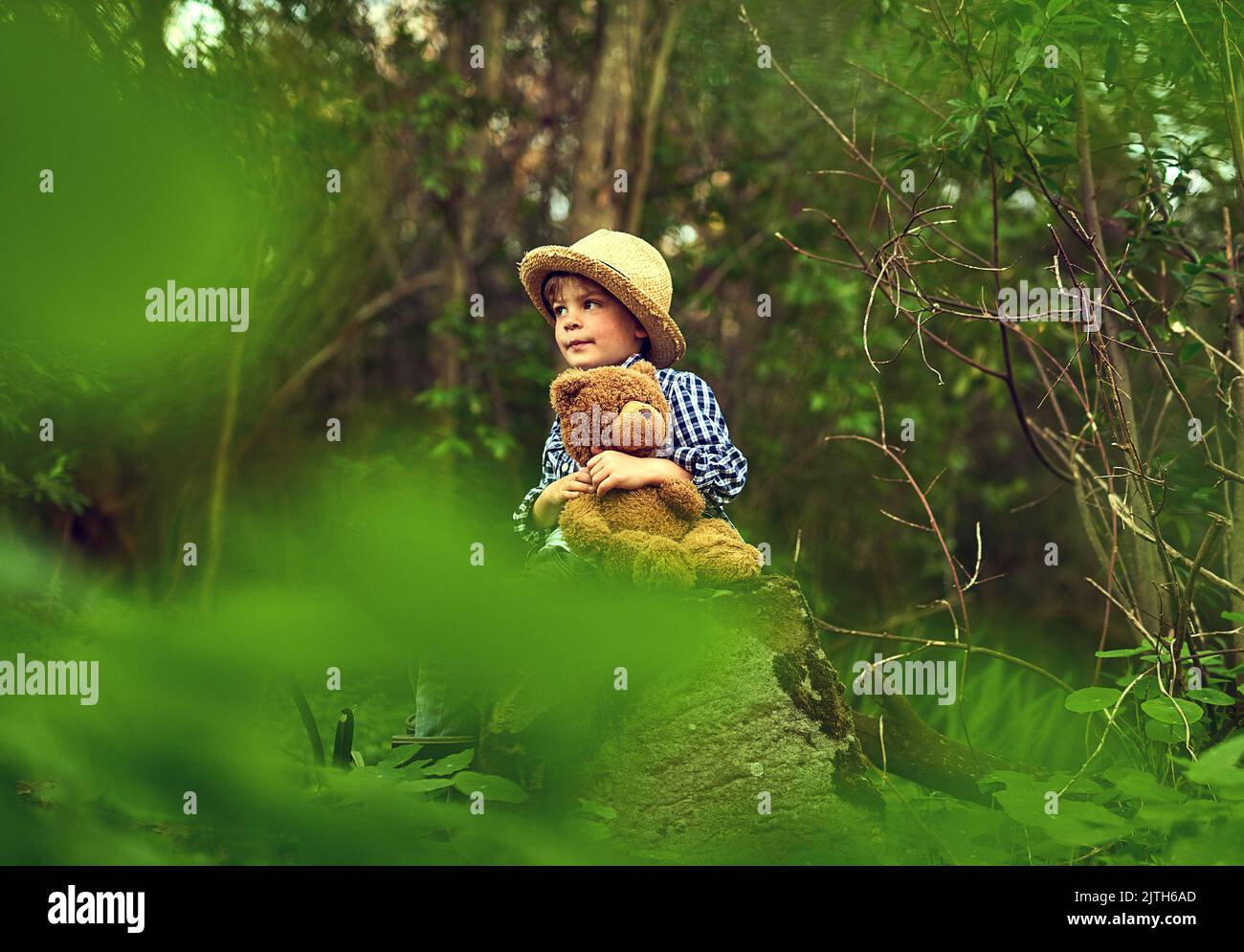 Connecting with nature. a little boy sitting in the forest with his ...