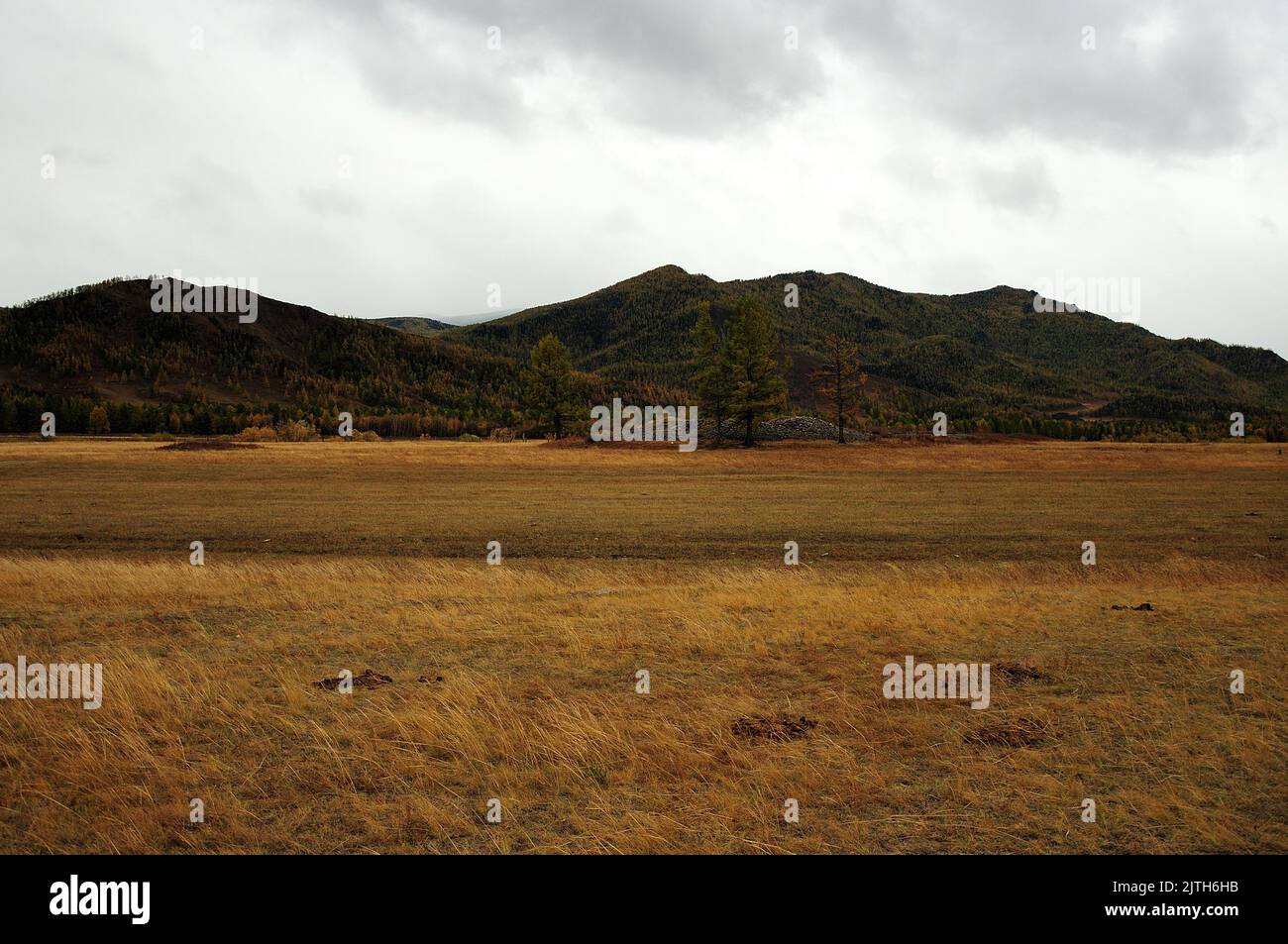 Large mound of dried grass hi-res stock photography and images - Alamy