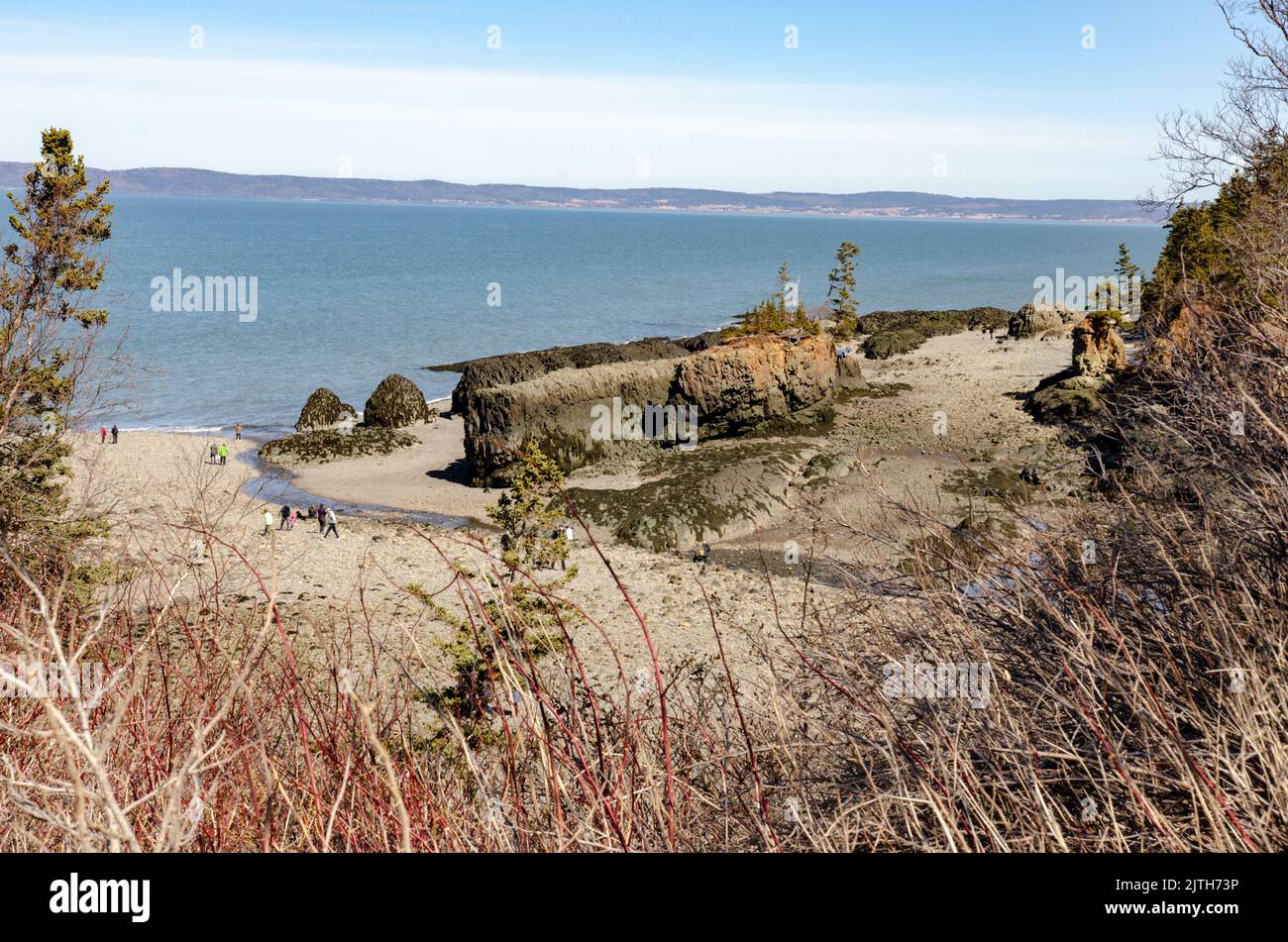 Baxter Harbour, Nova Scotia, Canada Stock Photo - Alamy