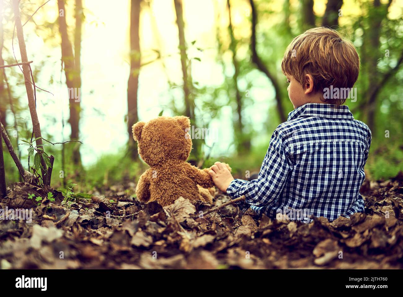 My teddy is my best buddy. a little boy sitting in the forest with his ...