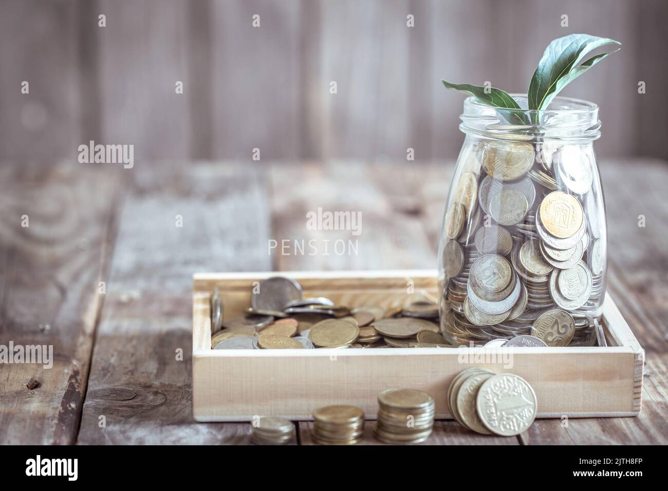 Money sprout hi-res stock photography and images - Alamy