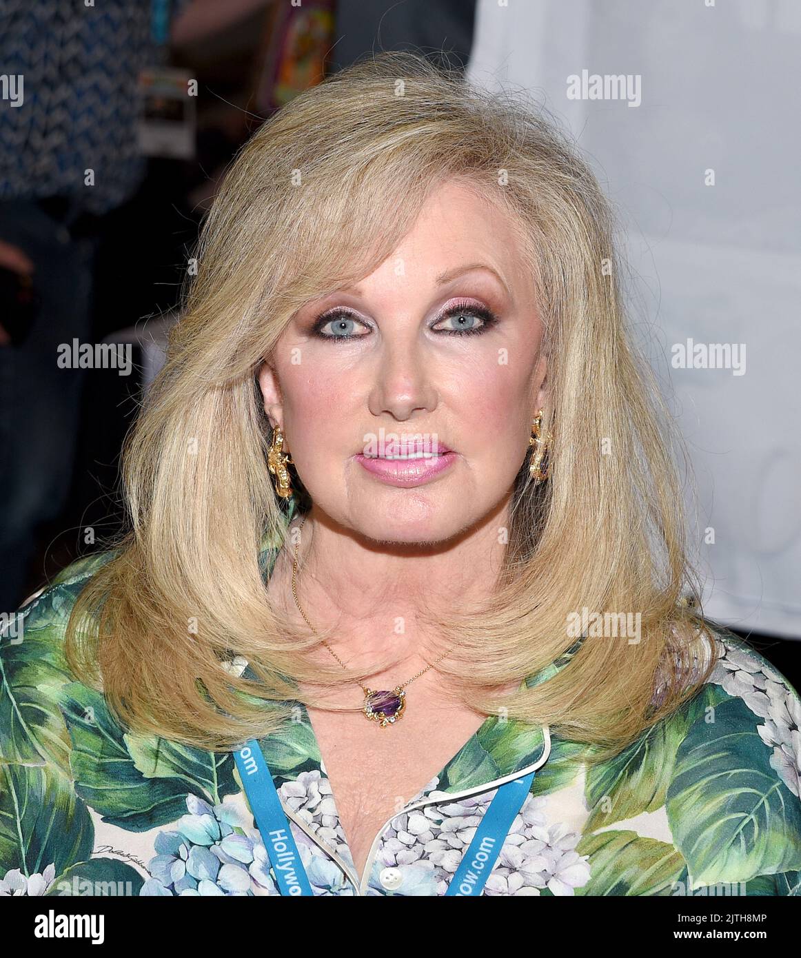 Morgan fairchild hi-res stock photography and images - Alamy