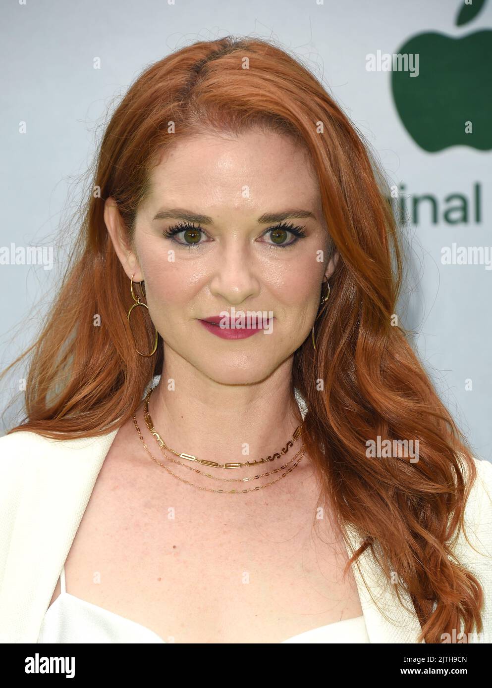 Sara drew hi-res stock photography and images - Alamy