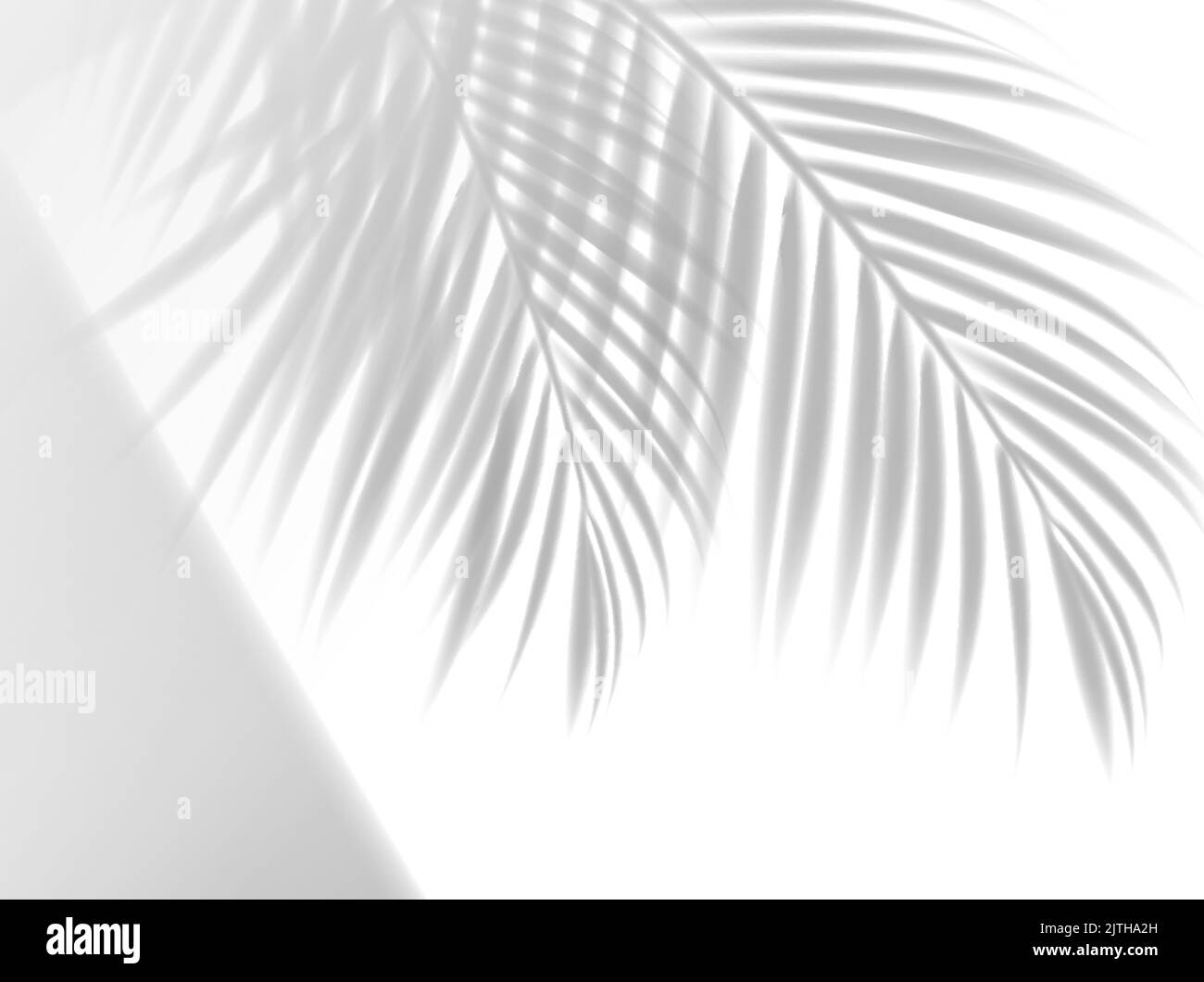 Palm leaves shadow background overlay effect with vector shade of ...