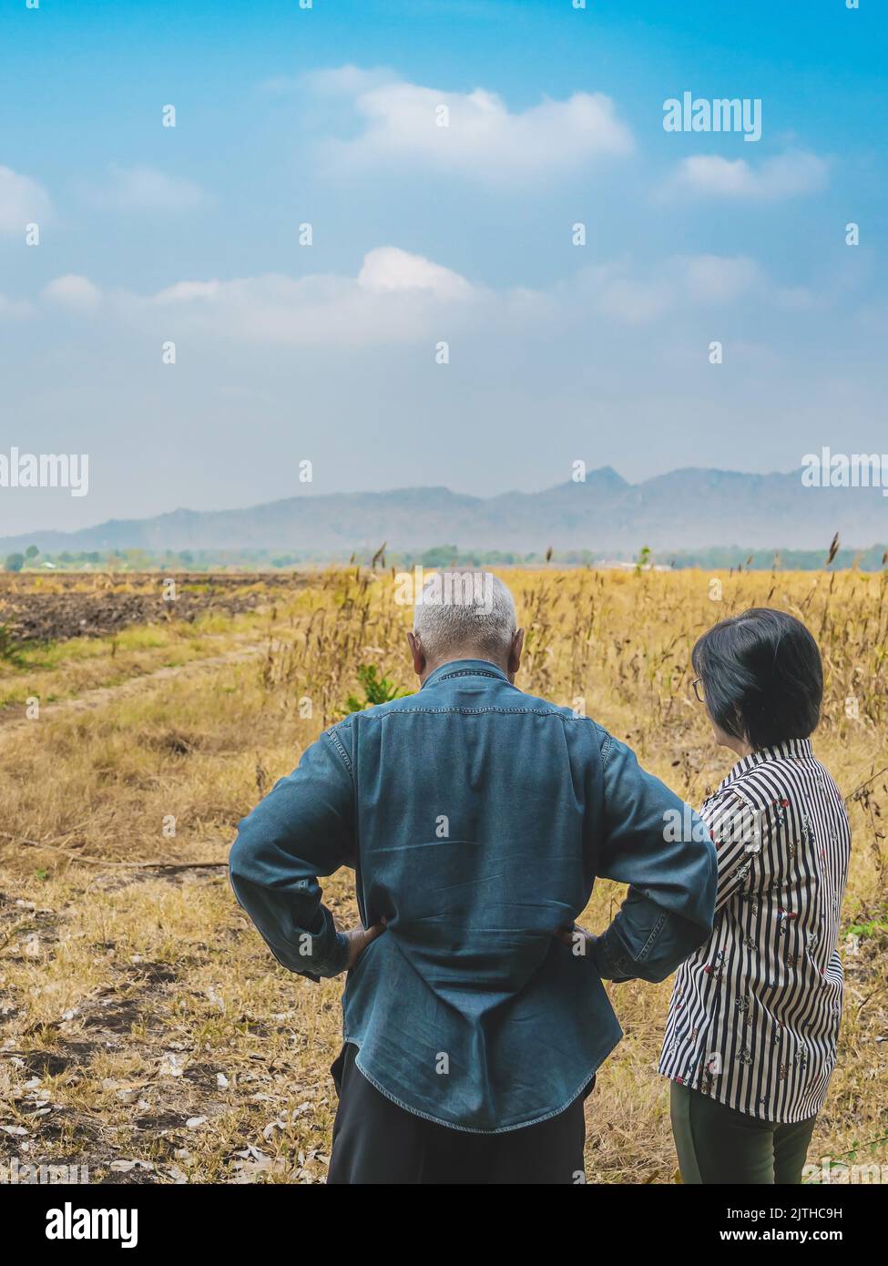 Back view of elderly couple farmers discuss soil quality for farming in ...