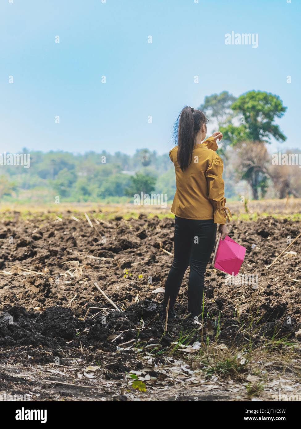 Back view of Asian young woman farmer stand alone with tablet to look ...
