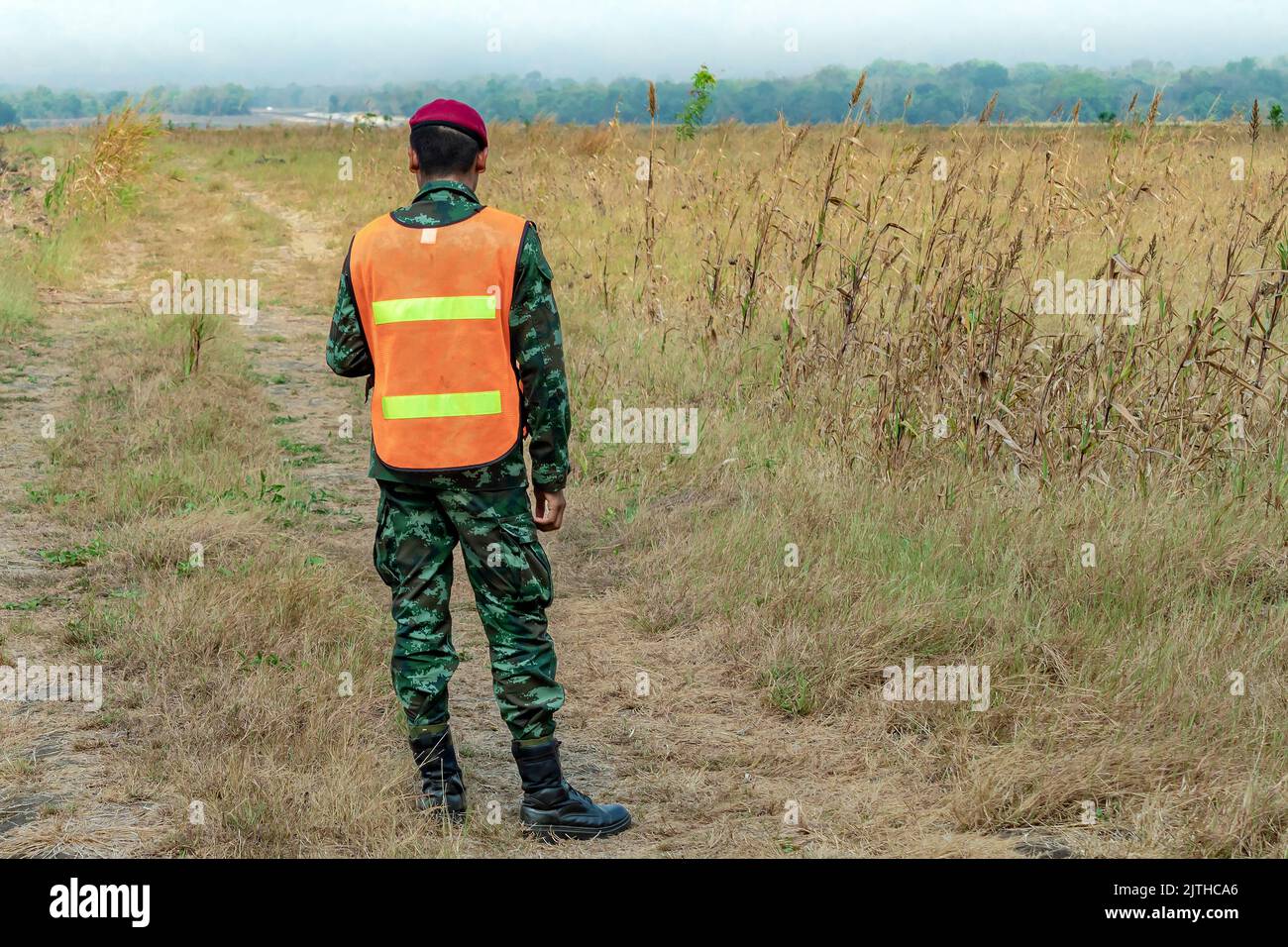 Reconnaissance infantry using cell phones in fields to send news to ...