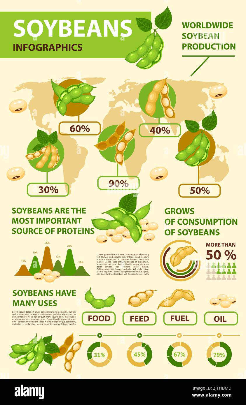 Soy And Soybean Infographics Beans Production And Consumption Statistics Graphs Vector