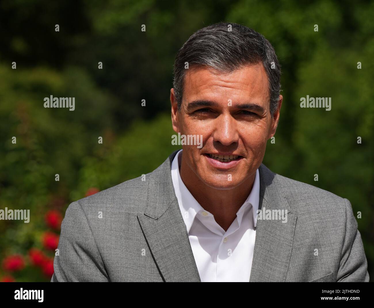 Meseberg, Germany. 30th Aug, 2022. Pedro Sanchez, Prime Minister of ...