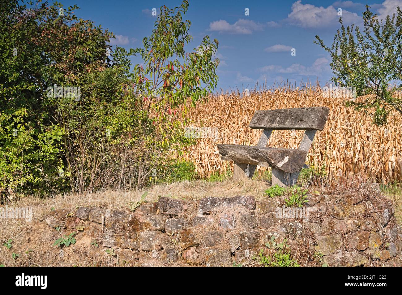 Wooden bench invitates for a rest in rural landscape during summer ...