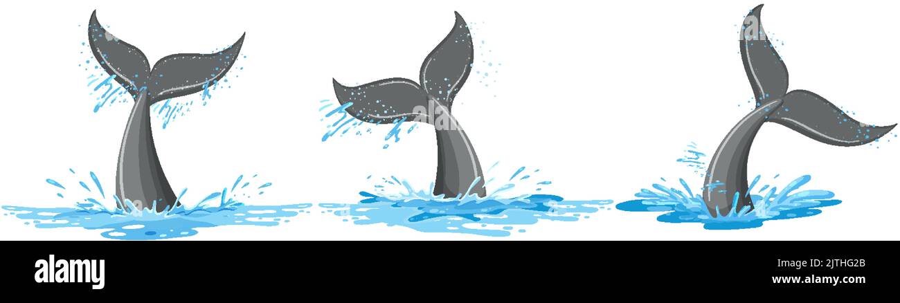 Different tails of whale in the water illustration Stock Vector Image ...