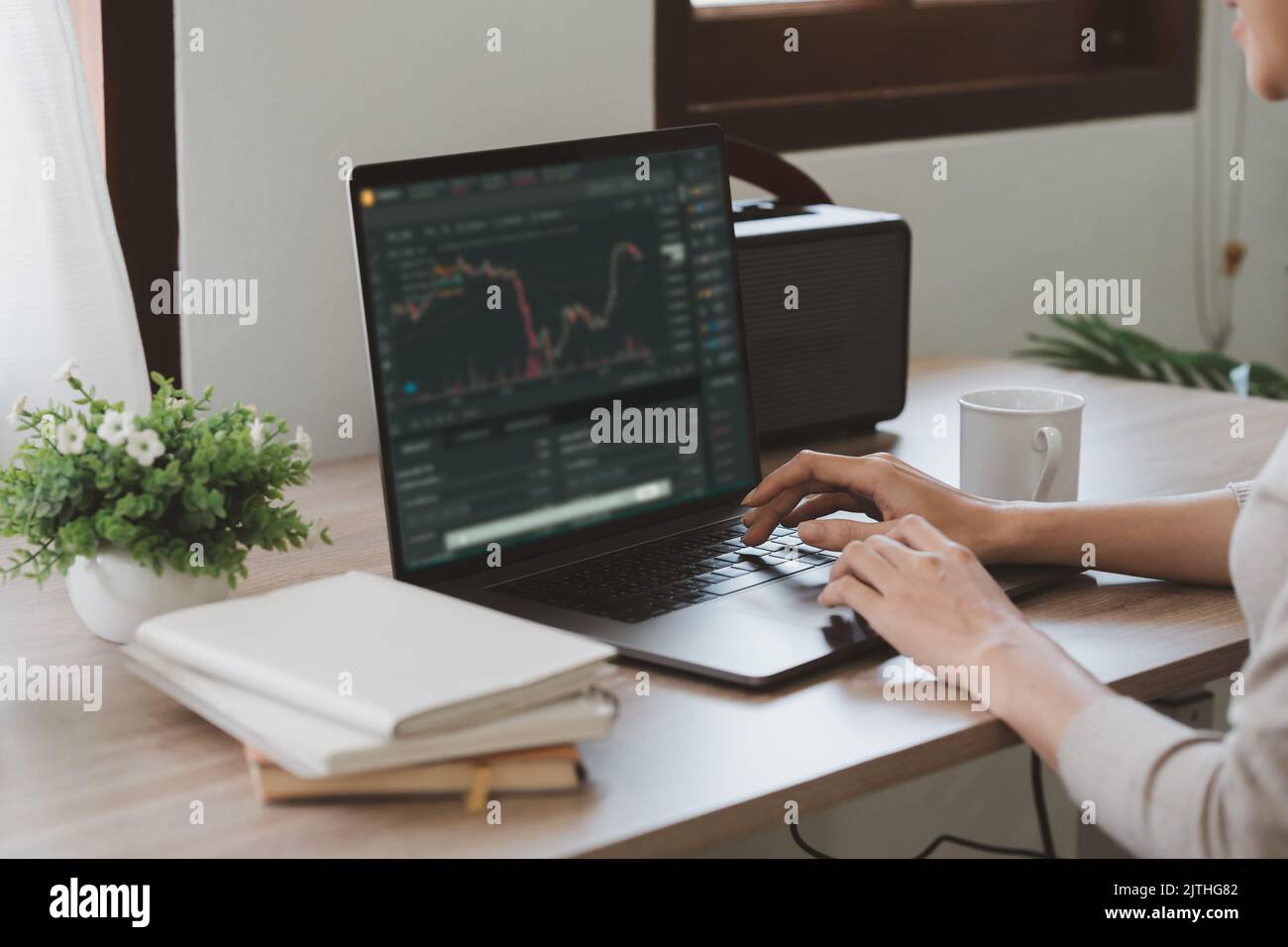 Business woman trading and analysis on laptop. Planning and strategy on ...