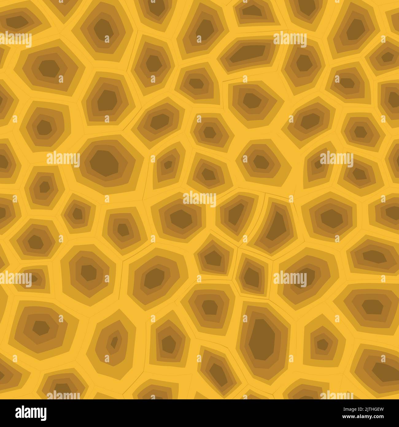 Ninja Turtle Shell Pattern Background