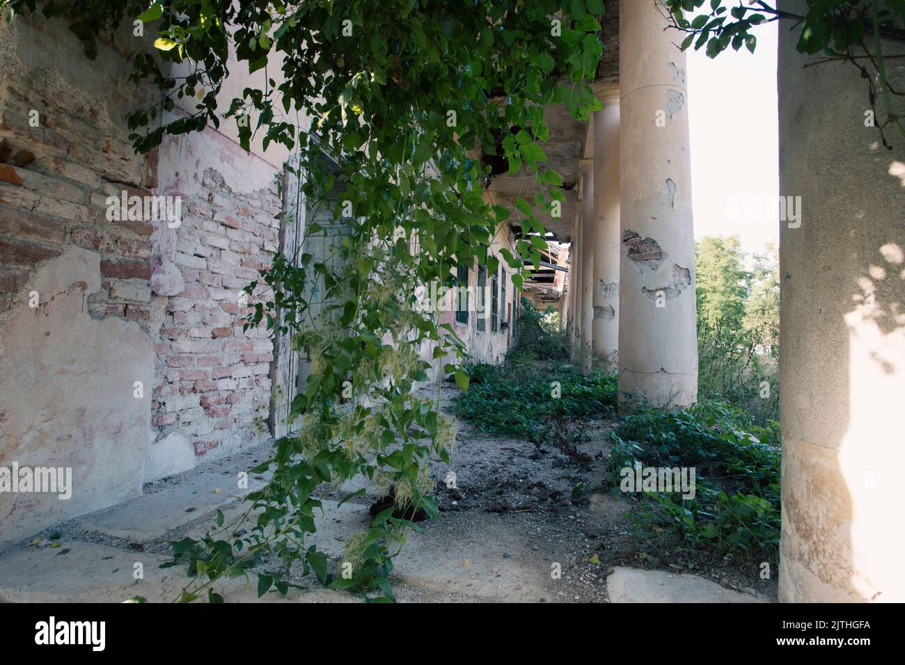 Old house with a terrace surrounded by greenery. Dark dirty grunge and ...