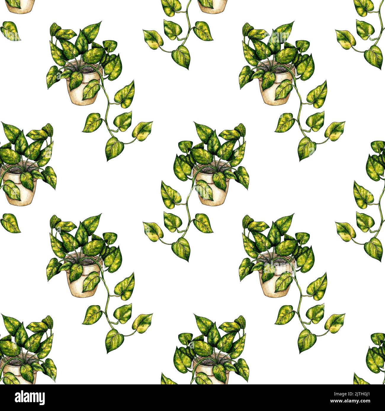 Watercolor illustration pattern weaving flower in a pot. It's perfect ...