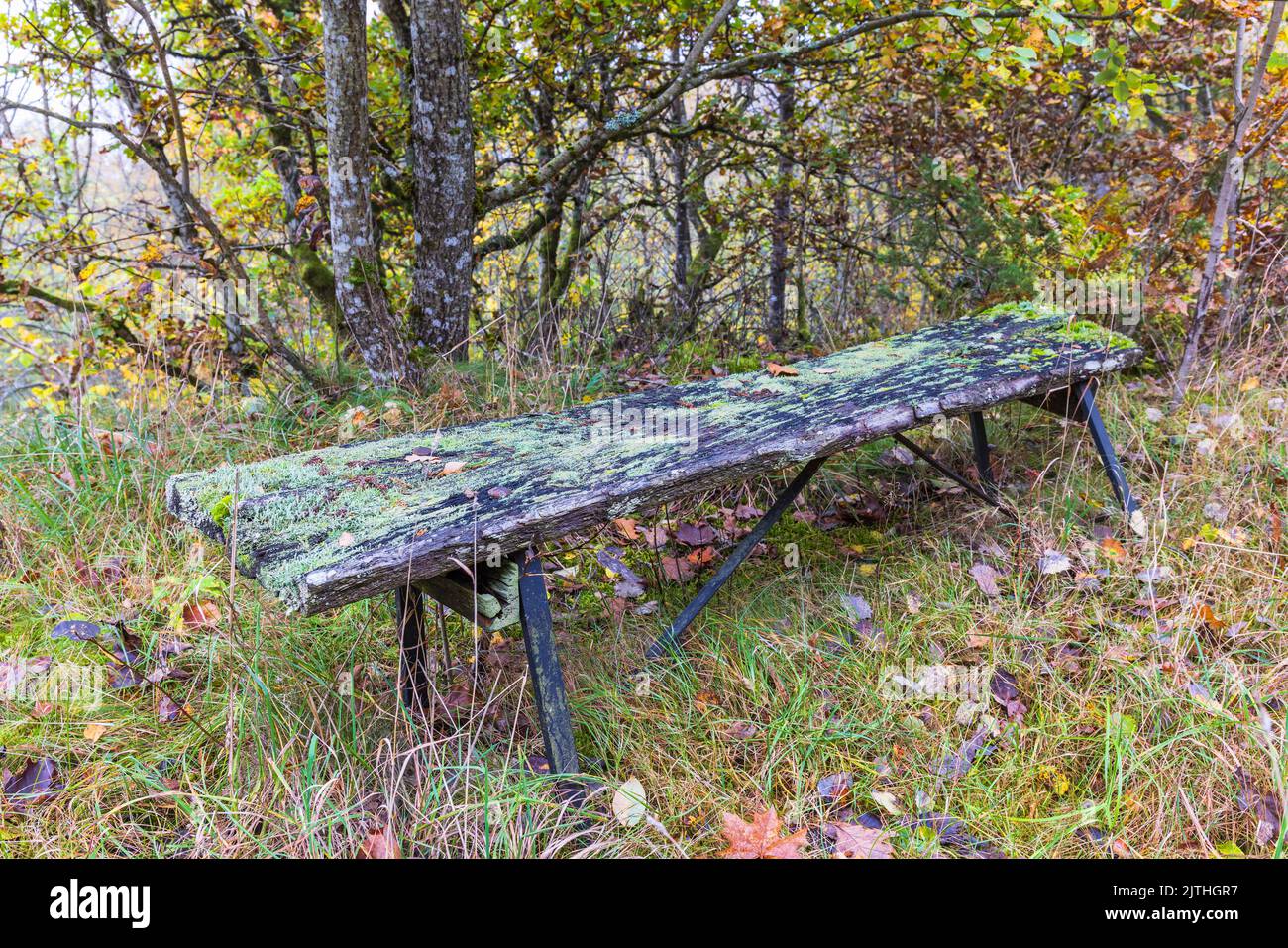 Worn out bench hi-res stock photography and images - Alamy