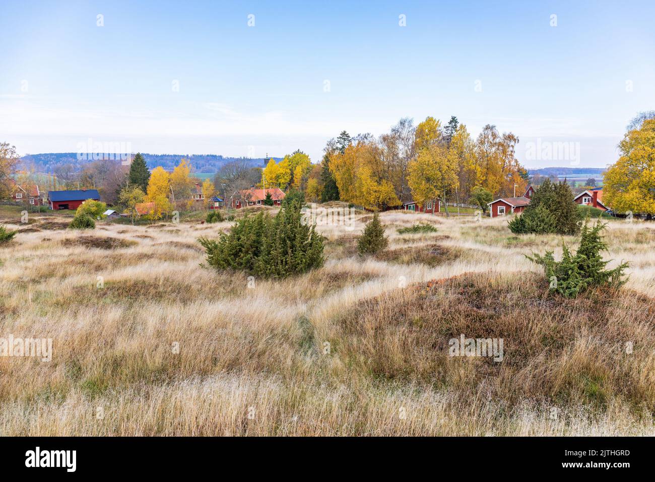 View at an old grave field from the iron age Stock Photo - Alamy