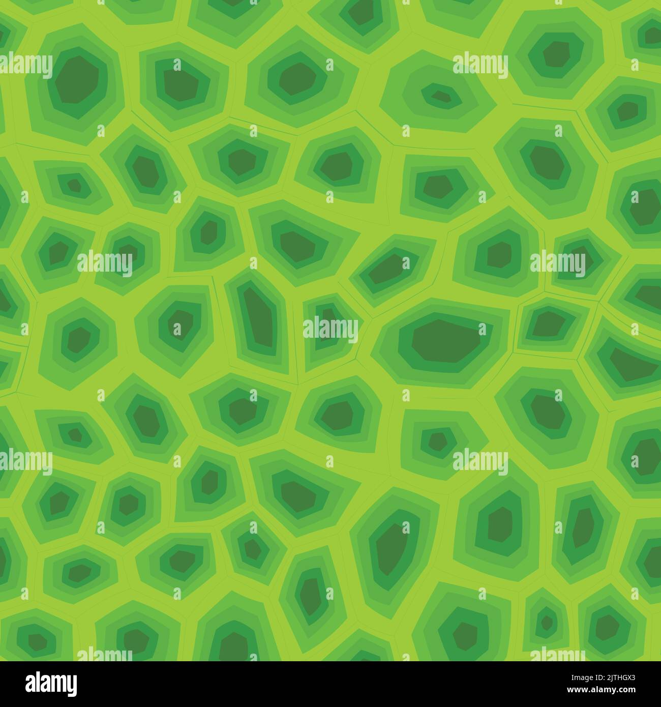 Green Turtle Shell Pattern