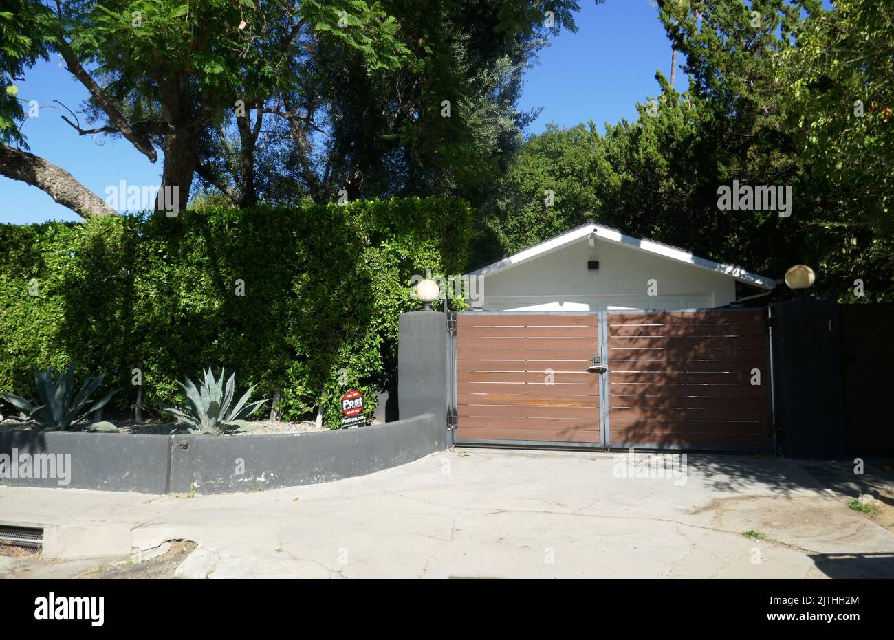 Brendon Urie Photo Shoot 2022