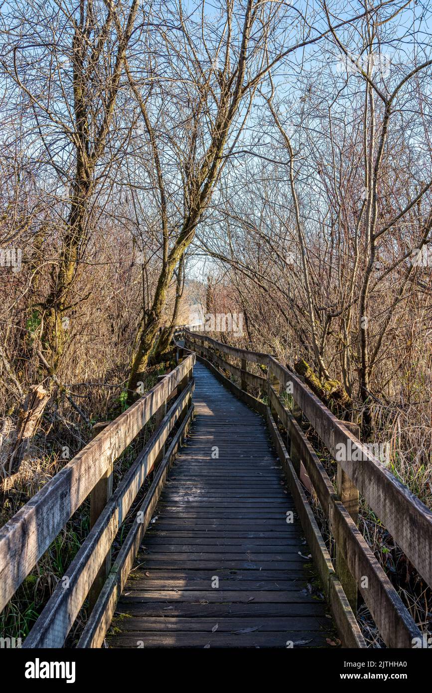 An aerial view of footpath surrounded by trees Stock Photo - Alamy