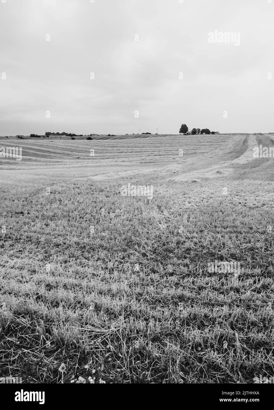 Vertical shot farm field Black and White Stock Photos & Images - Alamy