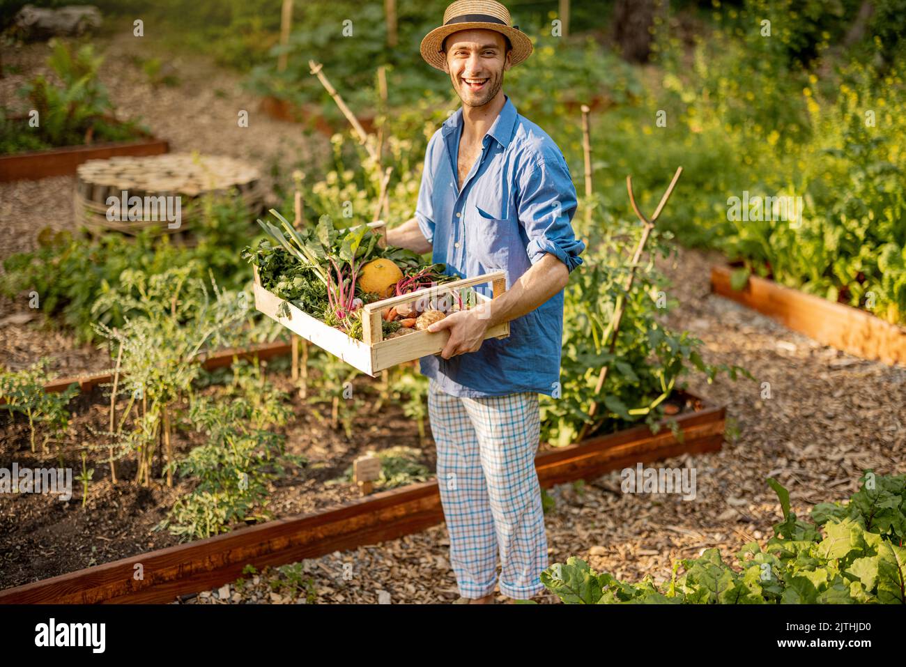 Man at home vegetable garden Stock Photo - Alamy