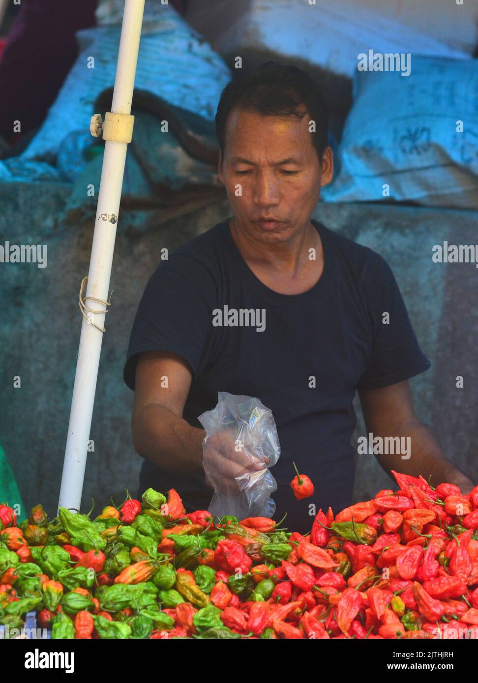 Morcha hi-res stock photography and images - Alamy