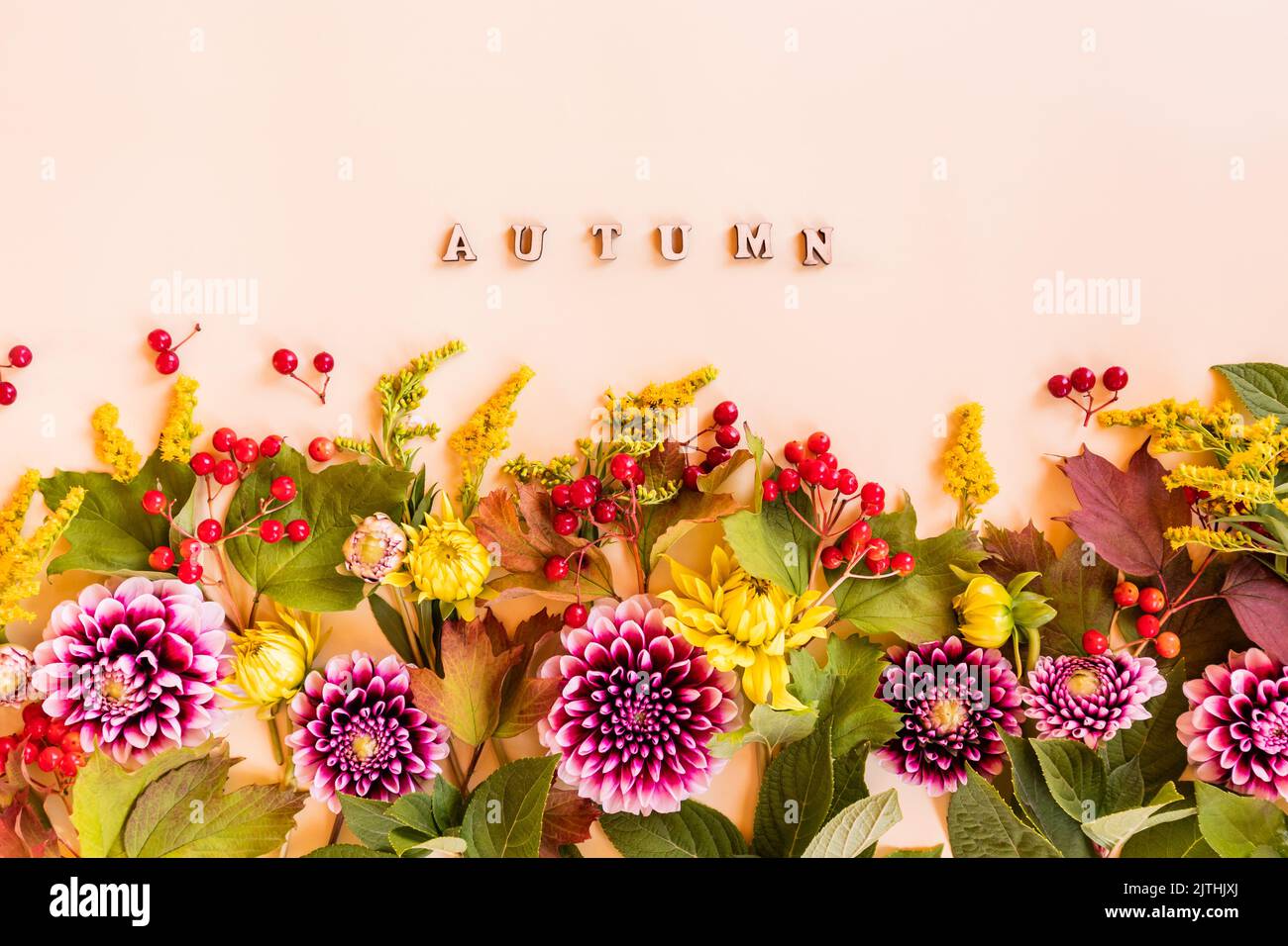 beautiful bright border of autumn flowers, leaves and berries. beige ...