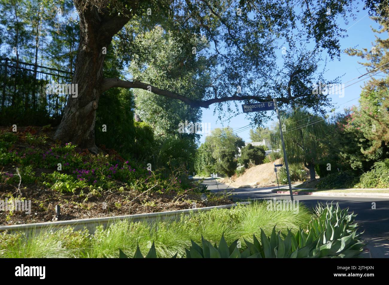 Encino California, USA 27th August 2022 Mooncrest Drive on August 27 ...