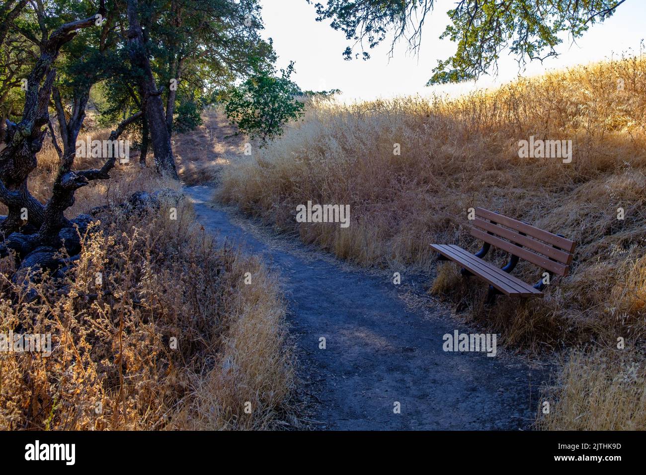 Dirt trail with a bench on the side and dry foliage at Shell Ridge ...