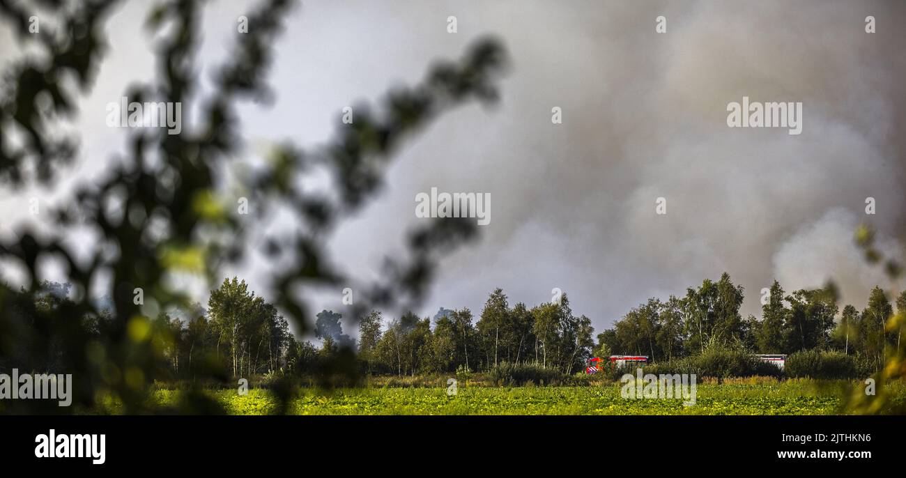 2022-08-31 08:57:36 GRIENDTSVEEN - A large fire in the De Peel nature ...