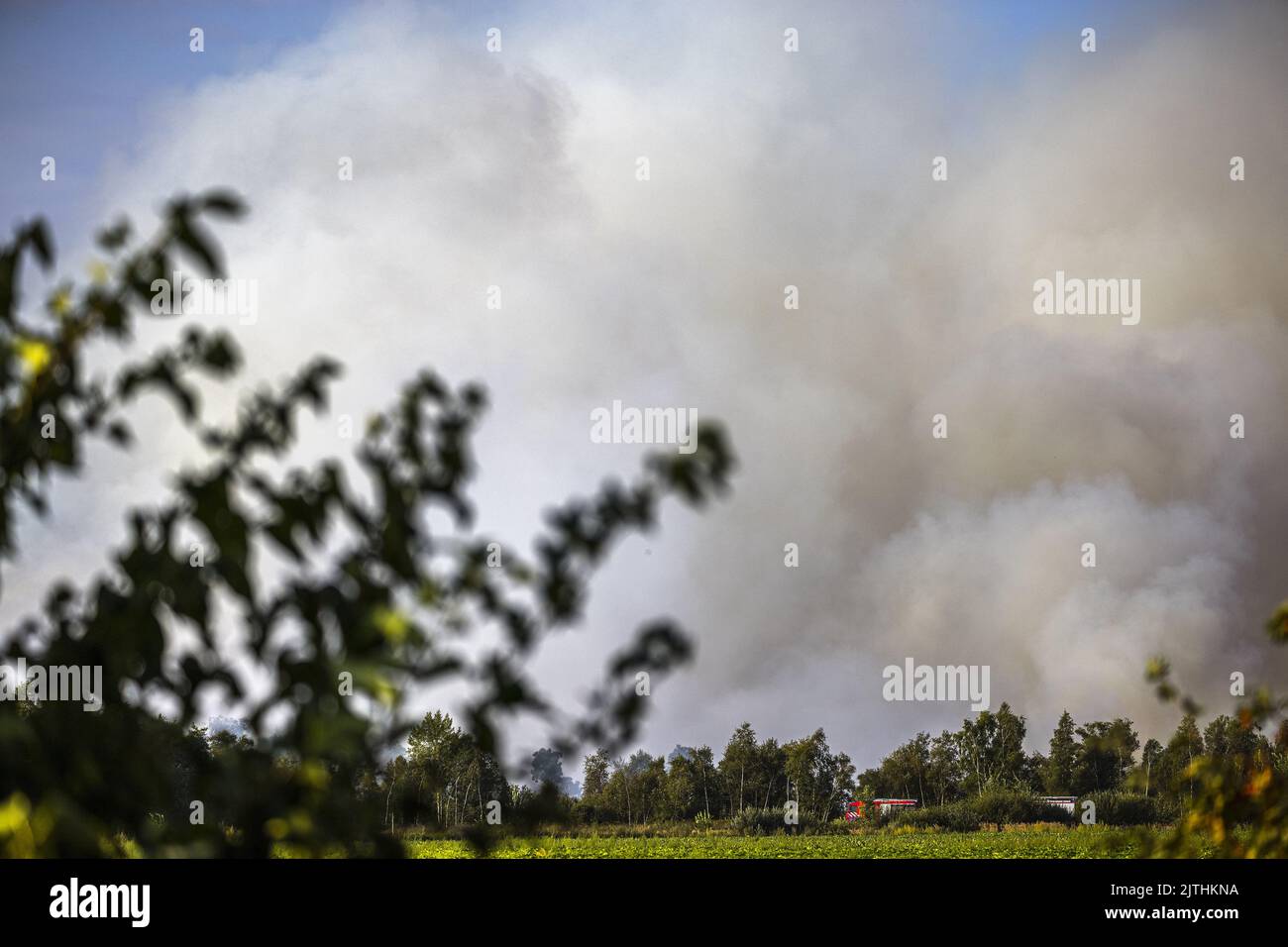 2022-08-31 08:57:44 GRIENDTSVEEN - A large fire in the De Peel nature ...