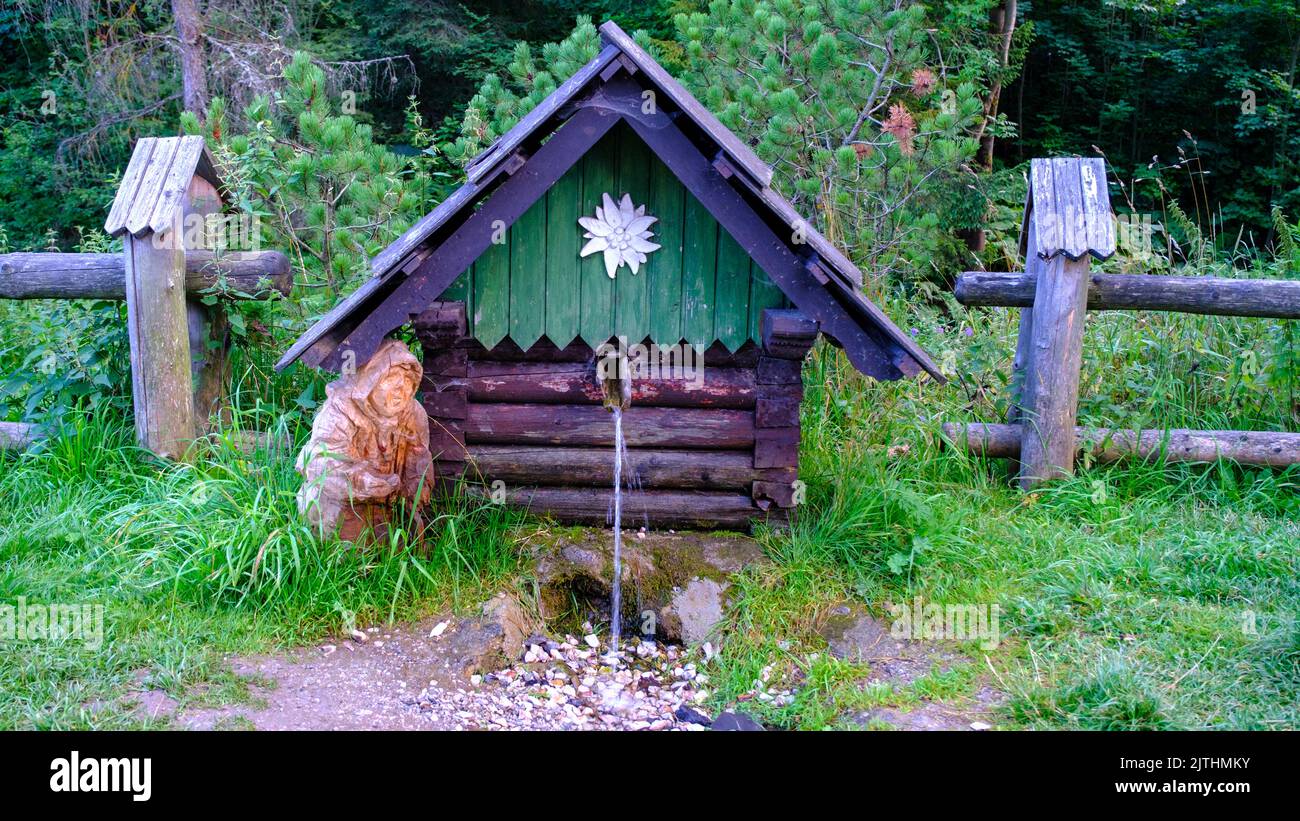 crystal clear mountain water spring, water intake for drinking. Coming ...