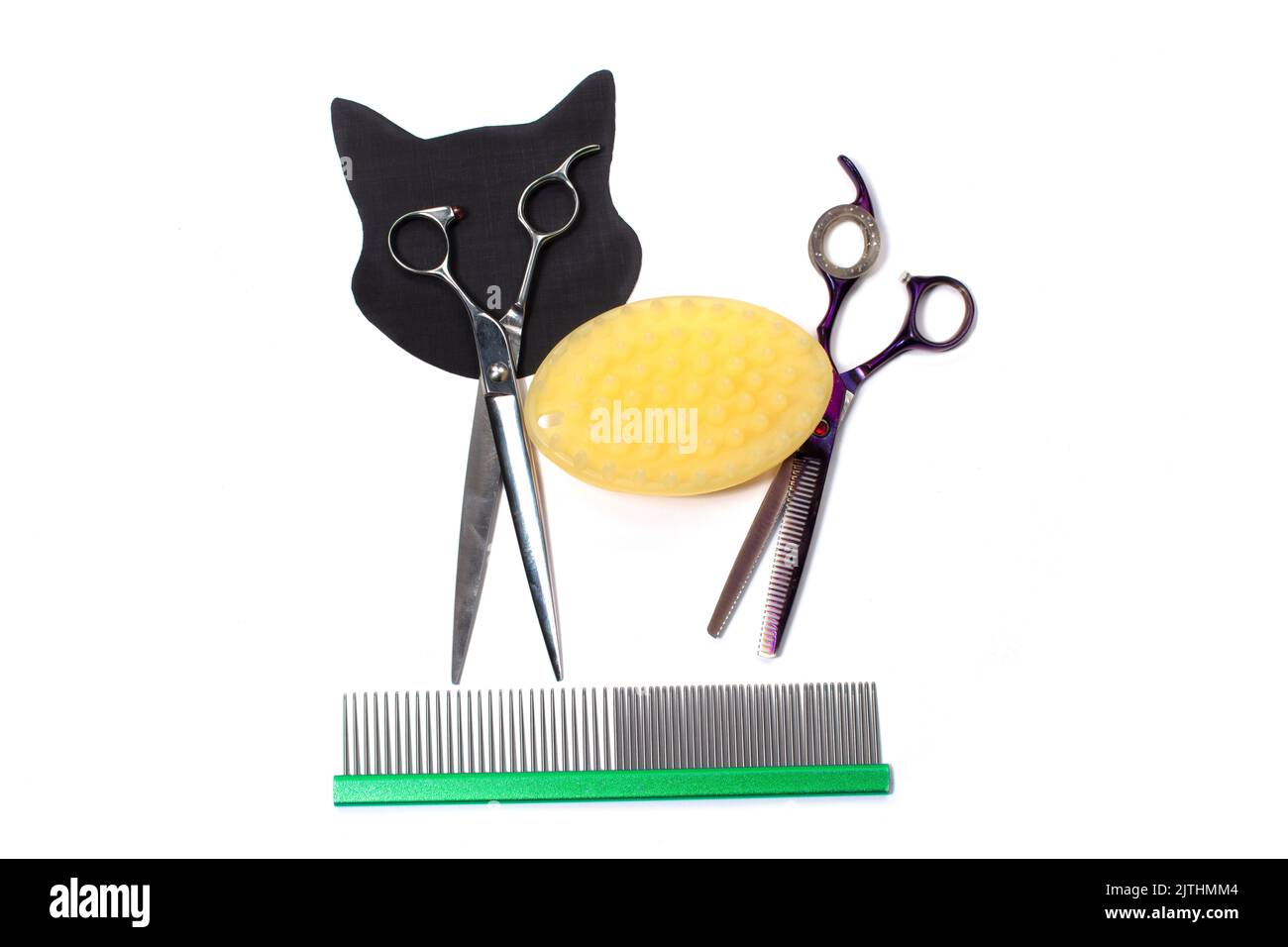 Veterinarian tools Cut Out Stock Images & Pictures - Alamy